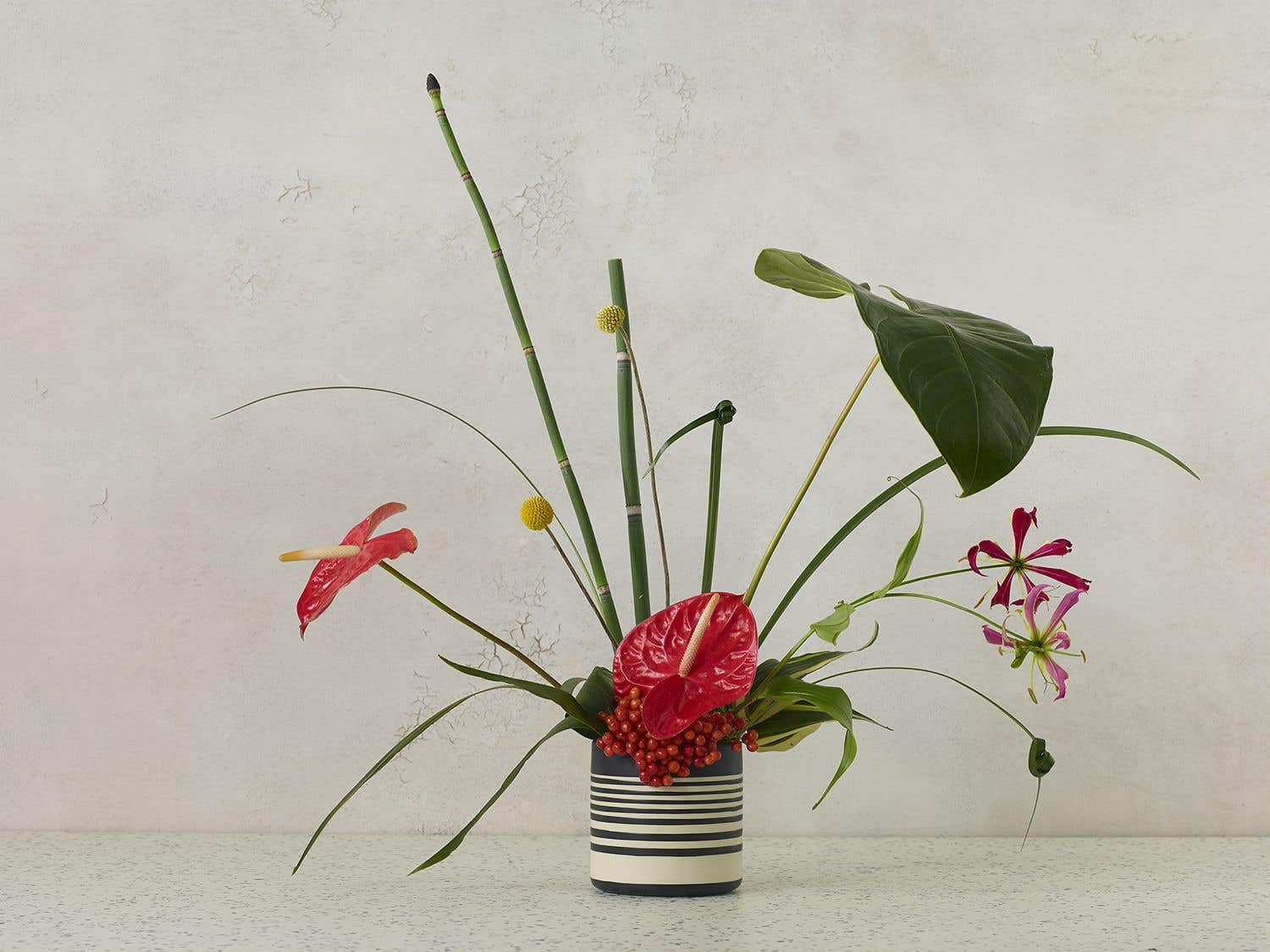 Sinclair White and Black Pot 4.5 Inch for greenery and flowers ...