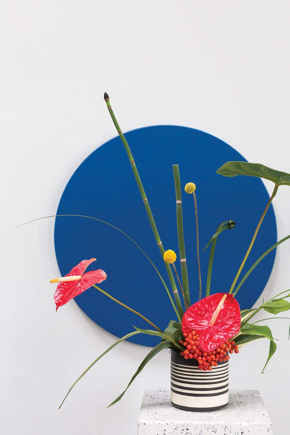 Sinclair White and Black Pot 4.5 Inch for greenery and flowers ...